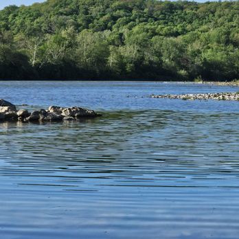 JOYCE PARK - Updated August 2025 - 14 Photos - Forest Lake Ln ...