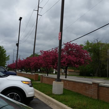 WALGREENS - Updated October 2025 - 12 Photos - 1285 N Monroe St, Monroe ...