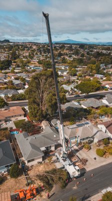 JULIAN TREE CARE - 258 Photos & 262 Reviews - Walnut Creek, California ...