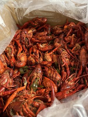 DEWY DEW BUGZ - Updated December 2025 - 40 Photos & 59 Reviews - 9419 ...