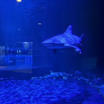 OKLAHOMA AQUARIUM - Updated August 2025 - 499 Photos & 200 Reviews ...