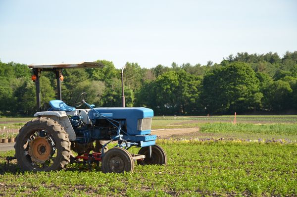 WILSON FARM - Updated October 2024 - 449 Photos & 393 Reviews - 10 ...