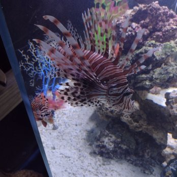 AQUARIUM & SHARK LAB BY TEAM ECCO - Updated May 2024 - 64 Photos & 21 ...