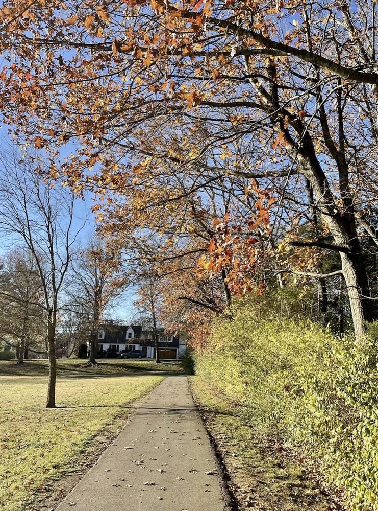 PARMER PARK - Updated February 2025 - 33 Photos - 578 Leake Ave, Belle ...