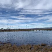BAYLANDS PARK TRAIL - 367 Photos & 111 Reviews - Parks - 999 E ...