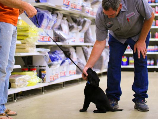 RURAL KING - Updated December 2025 - 44 Photos & 44 Reviews - 26831 S ...