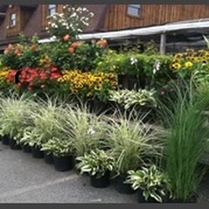 GUMBLE BROTHERS - 13 Photos - 320 Rte 507, Paupack, Pennsylvania ...