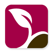 RED BUD REGIONAL HOSPITAL EMERGENCY DEPARTMENT - Updated June 2025 ...