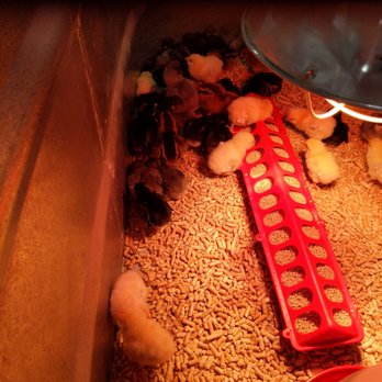 WILCO FARM STORE - VANCOUVER - Updated December 2025 - 41 Photos & 42 ...