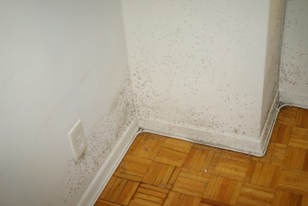 TROY TOWERS - Updated December 2025 - 20 Photos & 15 Reviews - 40 ...