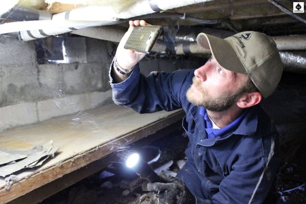 LOOKOUT PEST CONTROL - Updated October 2025 - 23 Photos & 38 Reviews ...