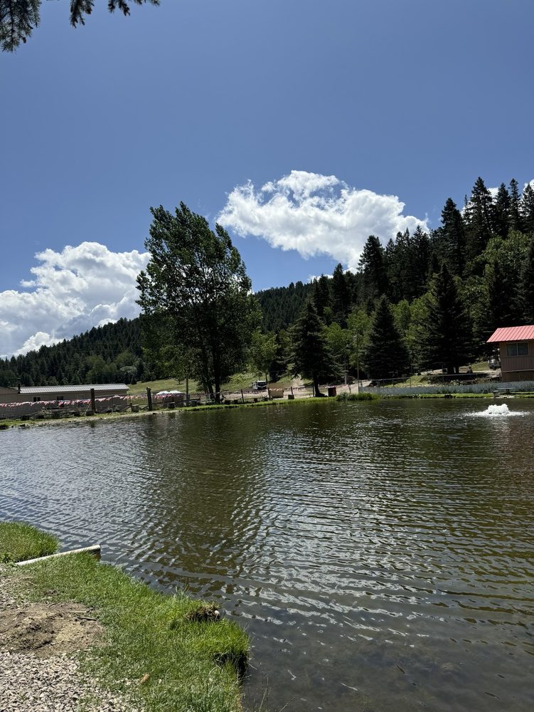 SILVER SPRINGS RV PARK AND TROUT POND - Updated May 2026 - 20 Photos ...