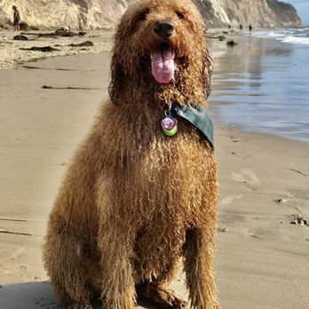 THE RUFF RANCH - Updated December 2024 - 56 Photos & 63 Reviews - 1553 ...