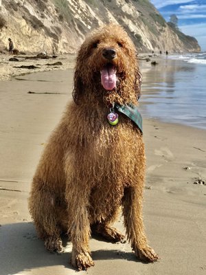 THE RUFF RANCH - Updated November 2024 - 56 Photos & 62 Reviews - 1553 ...