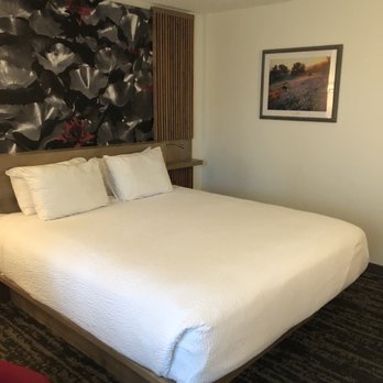 RAMADA BY WYNDHAM SANTA BARBARA - Updated March 2025 - 266 Photos & 260 ...