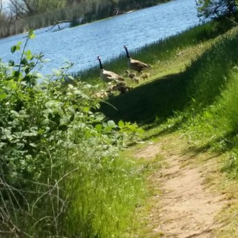 MATHER FIELD LAKE REGIONAL PARK - Updated October 2025 - 346 Photos ...