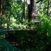 TREEHOUSE POINT - Updated October 2025 - 278 Photos & 115 Reviews ...