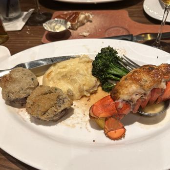 COOPER’S HAWK - WESLEY CHAPEL - Updated July 2025 - 468 Photos & 224 ...