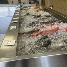 Fresh Fish