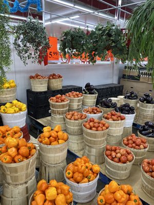 SAMI FRUITS - Updated October 2025 - 10 Photos & 15 Reviews - 3000 Rue ...