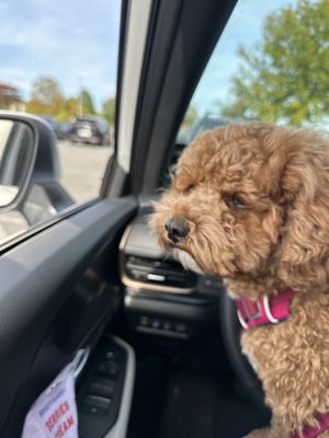 TARGET - Updated December 2025 - 565 Photos & 65 Reviews - 5561 Grove ...