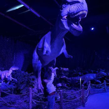DINOS ALIVE - Updated May 2025 - 35 Photos & 10 Reviews - 31 15th St ...