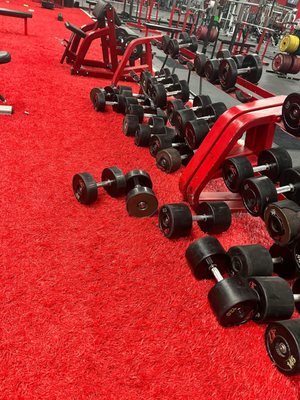 ABSOLUTE RECOMP - Updated July 2025 - 34 Photos & 24 Reviews - 6428 ...