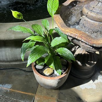 RESEDA DISCOUNT POTTERY & FOUNTAINS - Updated June 2024 - 306 Photos ...