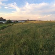 MEOLA REEF DOG PARK - 81 - 189 Western Springs Rd, Auckland, New ...