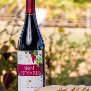 LITTLE RIDGE VINEYARDS - 607 Ridge Rd, Phillipsburg, New Jersey ...