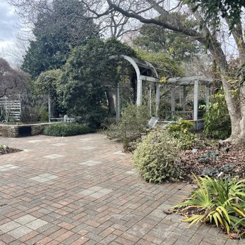 JC RAULSTON ARBORETUM - Updated December 2025 - 693 Photos & 113 ...