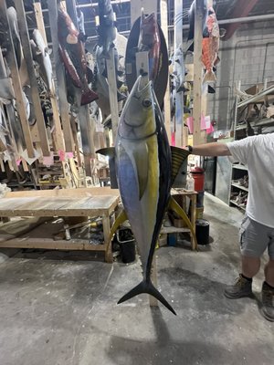 GRAY TAXIDERMY - 98 Photos & 122 Reviews - 712 NW 12th Ave, Pompano ...