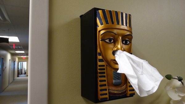 CAPITAL ENT & SINUS CENTER - Updated October 2025 - 51 Photos & 199 ...