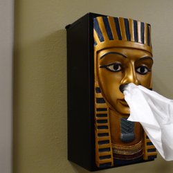 CAPITAL ENT & SINUS CENTER - 66 Photos & 174 Reviews - 12309 N Mopac ...