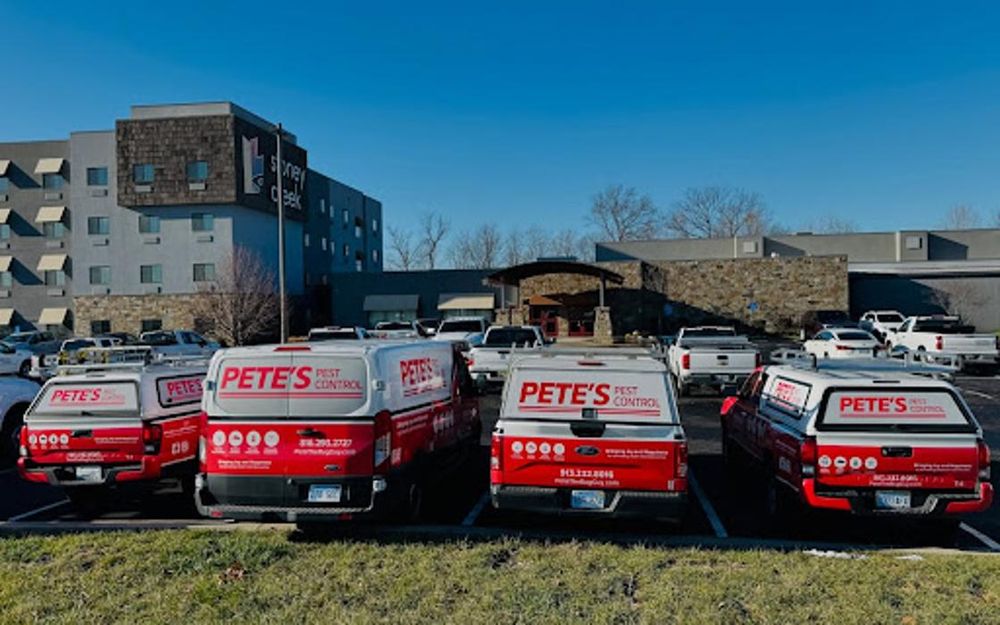 PETE’S PEST CONTROL - Updated December 2024 - 10 Photos - St Joseph ...