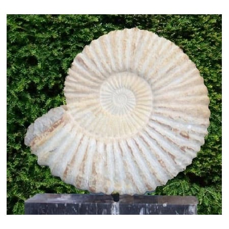 JILL WEATHERHEAD GARDEN DESIGN - Updated July 2024 - Belgrave Victoria ...