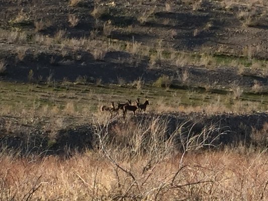 TEMPLE BAR RESORT & MARINA - Updated May 2025 - 22 Reviews - 31409 N ...