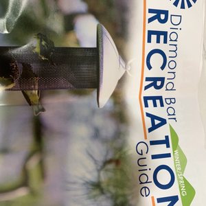 DIAMOND BAR CENTER - 158 Photos & 59 Reviews - 1600 Grand Ave, Diamond ...