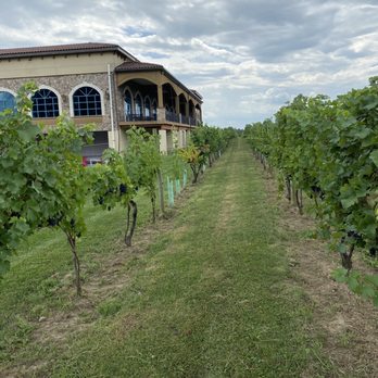 VENTOSA VINEYARDS - Updated August 2024 - 313 Photos & 252 Reviews ...