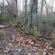 EAST FISHKILL RECREATION - 23 Photos - 330 Route 376, Hopewell Junction ...