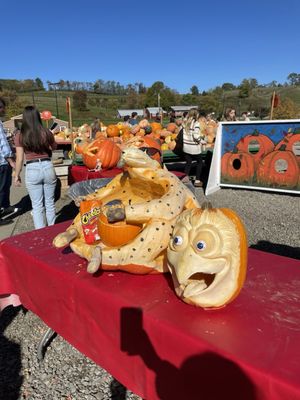 TRAX FARMS - Updated October 2025 - 395 Photos & 99 Reviews - 528 Trax ...