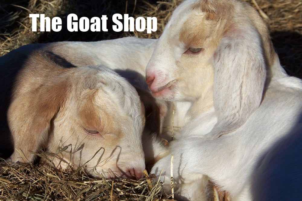 THE GOAT SHOP - Updated May 2024 - Request Information - 10466 Bailey ...