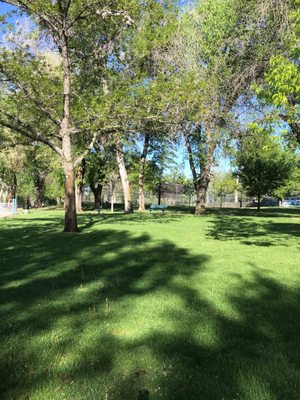 WHITAKER PARK - Updated August 2024 - 14 Photos & 13 Reviews - 550 ...