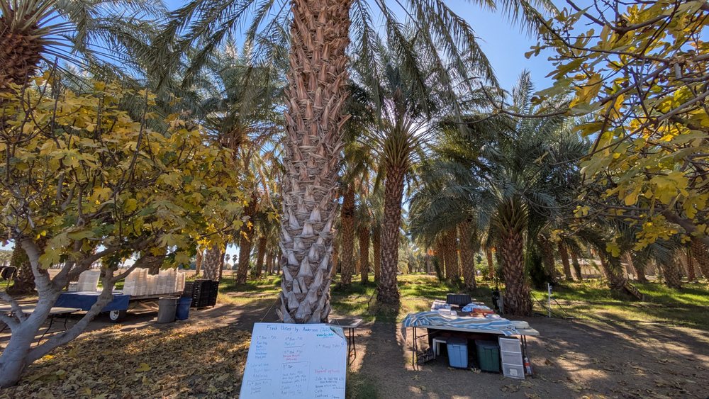 FRESH DATES BY ANDERSON - Updated December 2025 - 16 Photos & 21 ...