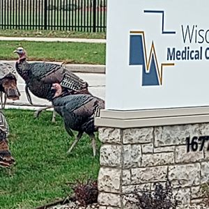 CAPITAL CREDIT UNION - Updated October 2025 - 14 Reviews - 825 Morris ...