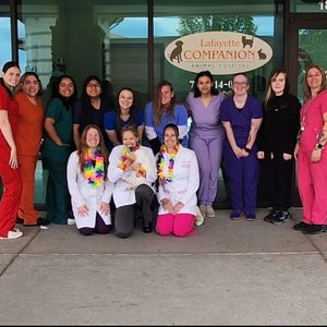 LONGMONT SMALL ANIMAL HOSPITAL - Updated December 2025 - 28 Reviews ...