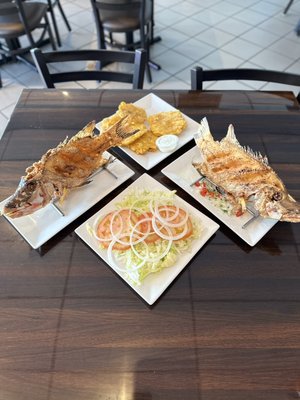 BAHAMAS FISH MARKET - Updated August 2024 - 242 Photos & 86 Reviews ...