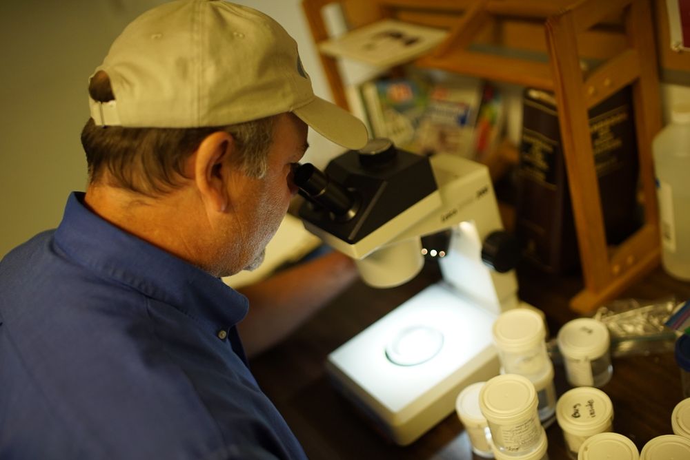 MODERN PEST SERVICES - Updated December 2025 - 19 Reviews - 128B New ...