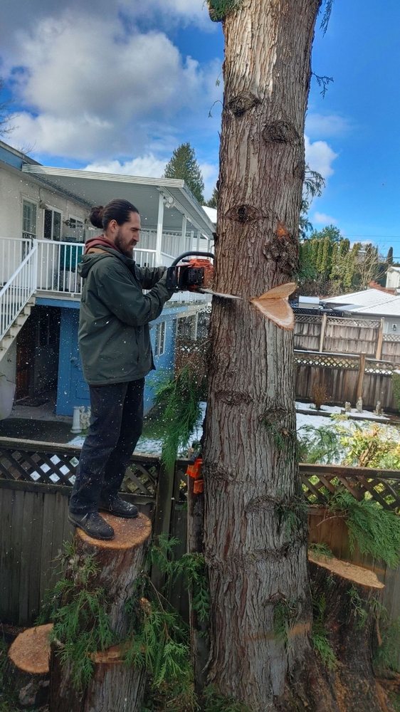 GRANDPA AND SONS TREE PROFESSIONALS - Updated October 2025 - Surrey ...