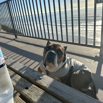 QWIK KORNER DELI GROCERY - Updated December 2025 - 63 Photos & 102 ...